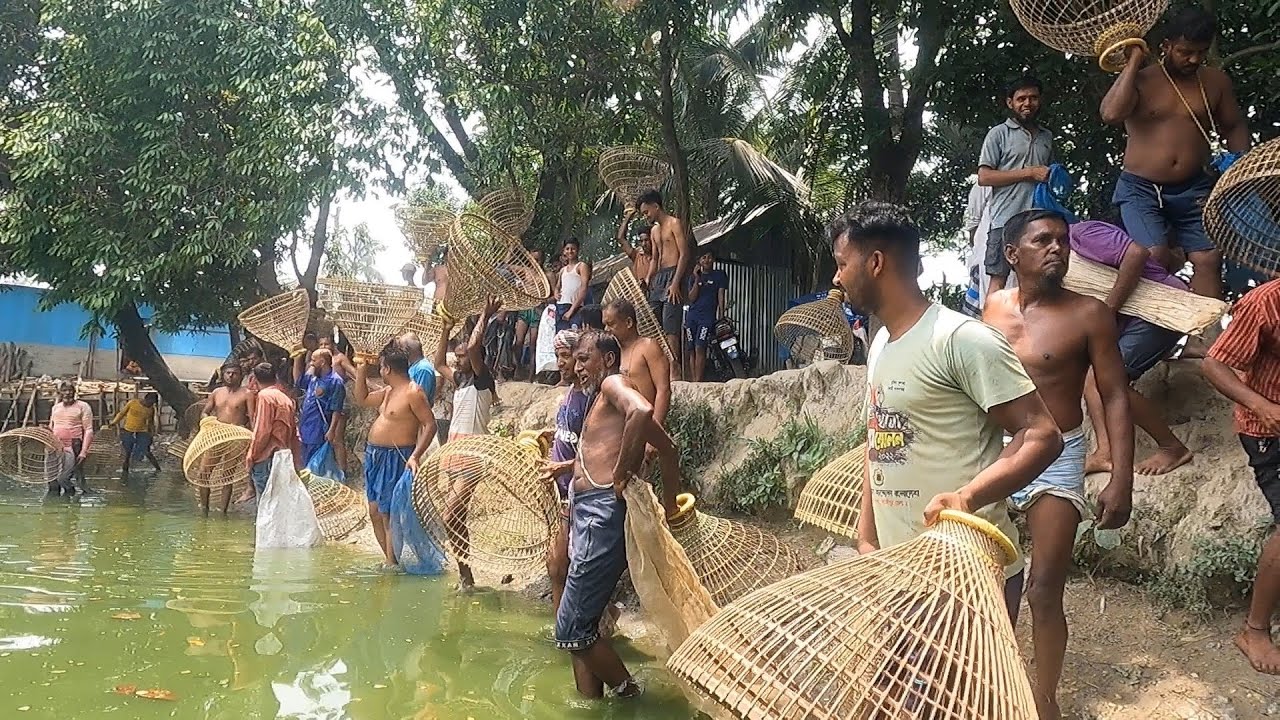 Traditional Village Fishing Competition In Pond | Most Interesting ...