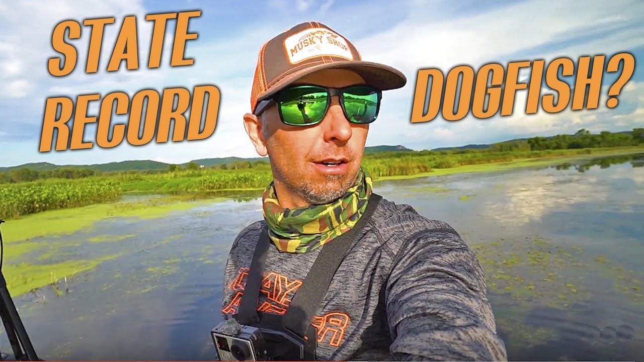 Is That the STATE RECORD DOGFISH??? - YouTube