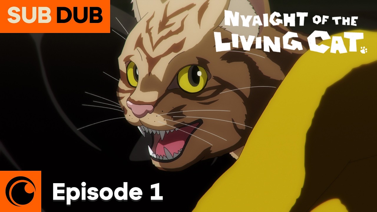 Nyaight of the Living Cat Episode 1 SUB/DUB | Everything Becomes Cat ...
