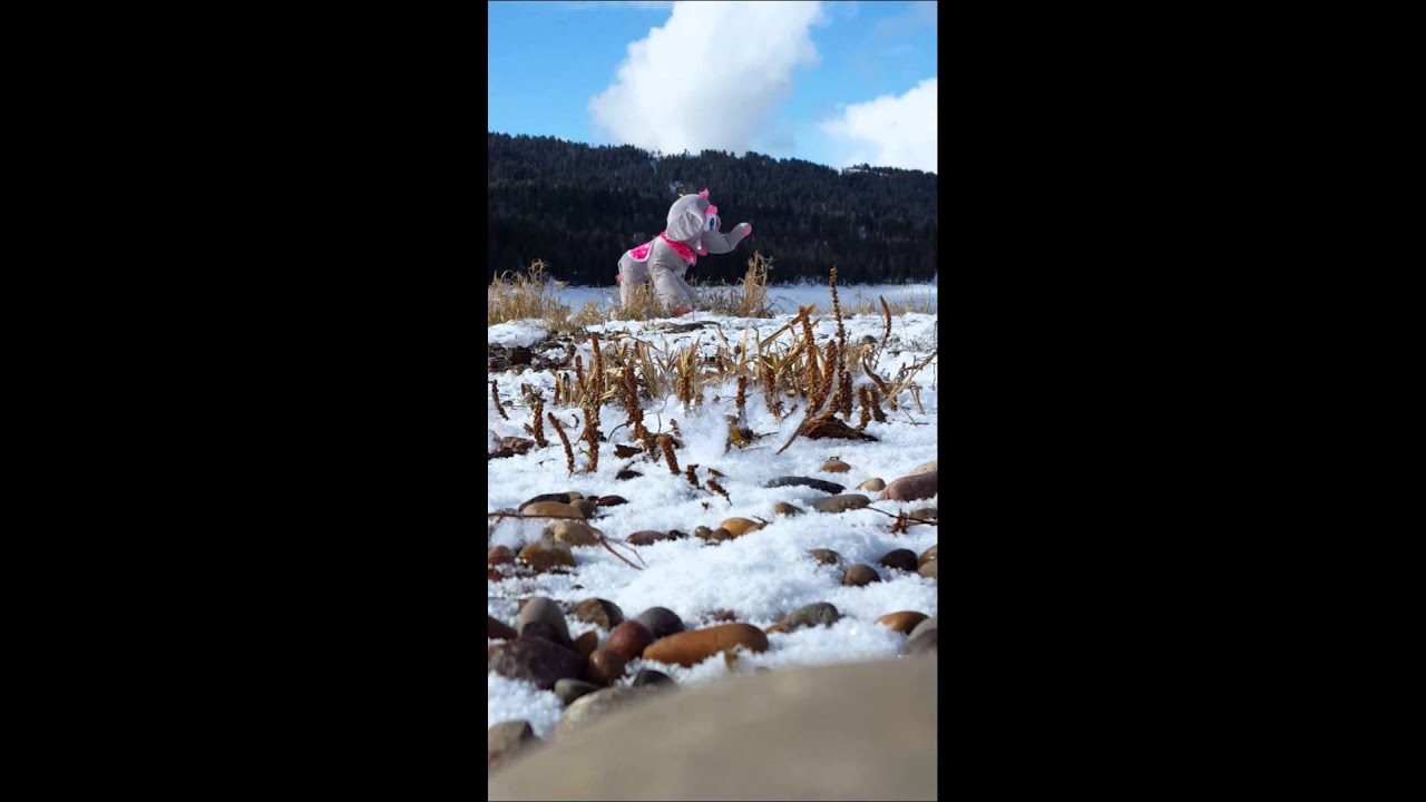 Exploding targets and stuffed animals - YouTube