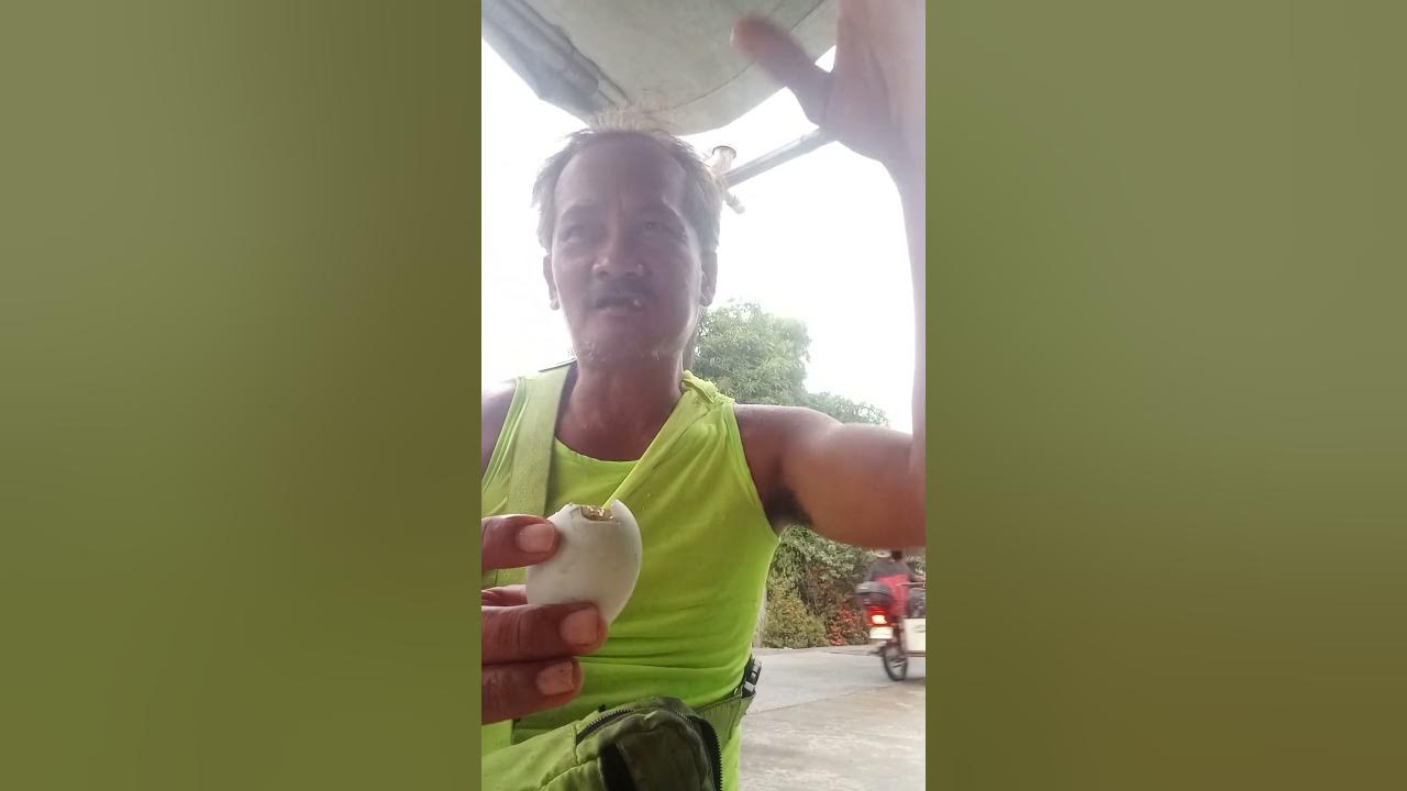 mga idol kain tayo ng balut Wala pang ulan#💚💚💚 - YouTube
