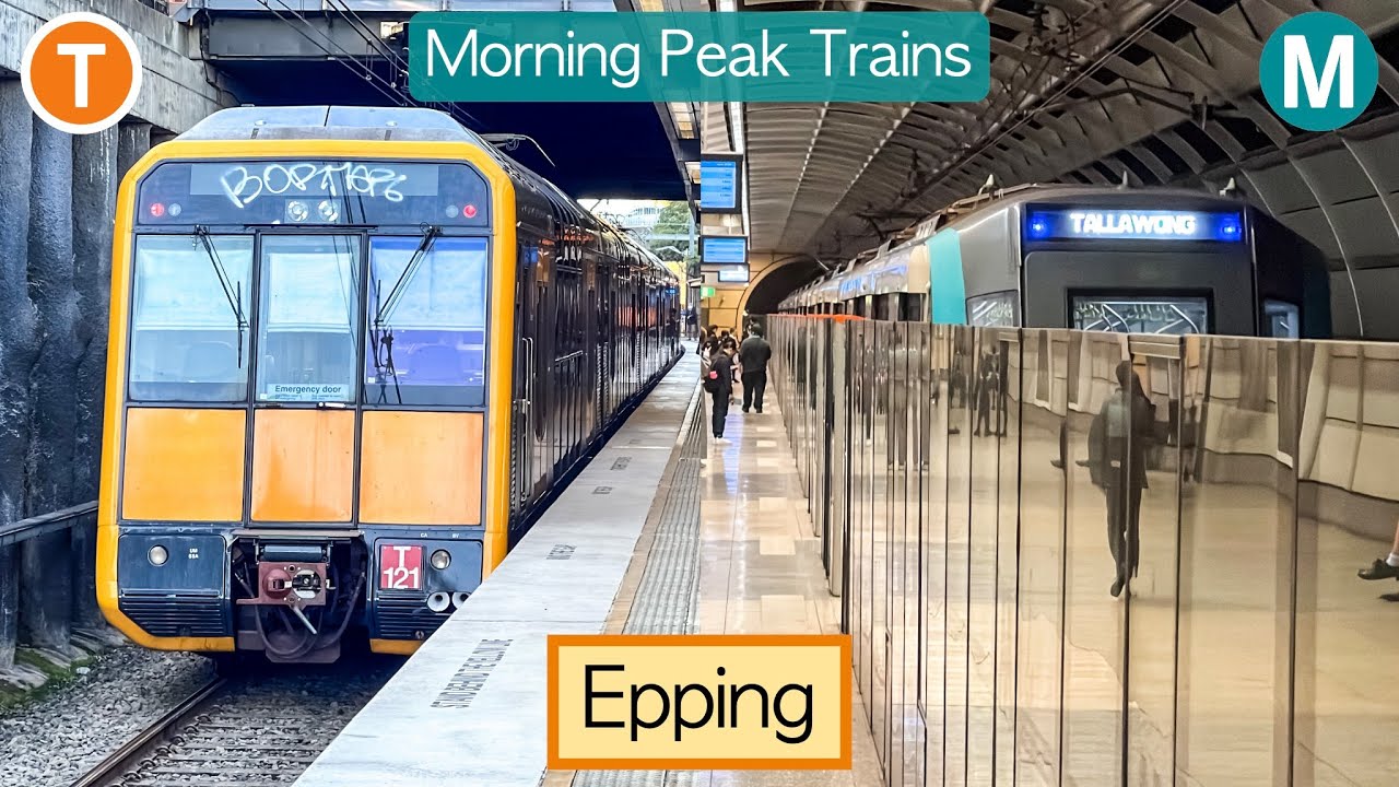 Transport for Sydney Vlog 843: Epping Station - Morning Peak Trains ...
