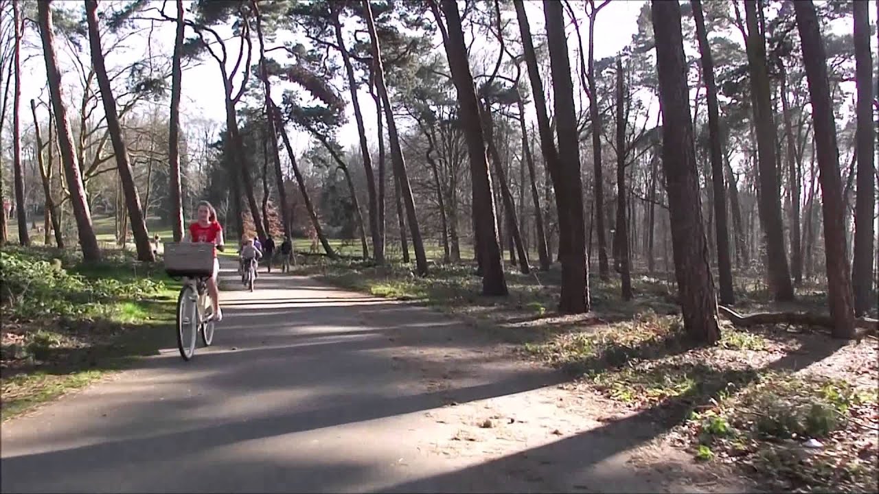 Electric longboard - Alien Drive Systems, first attempt - YouTube