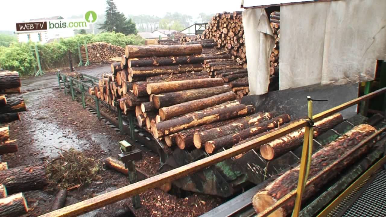 La scierie, entre nature et industrie - YouTube