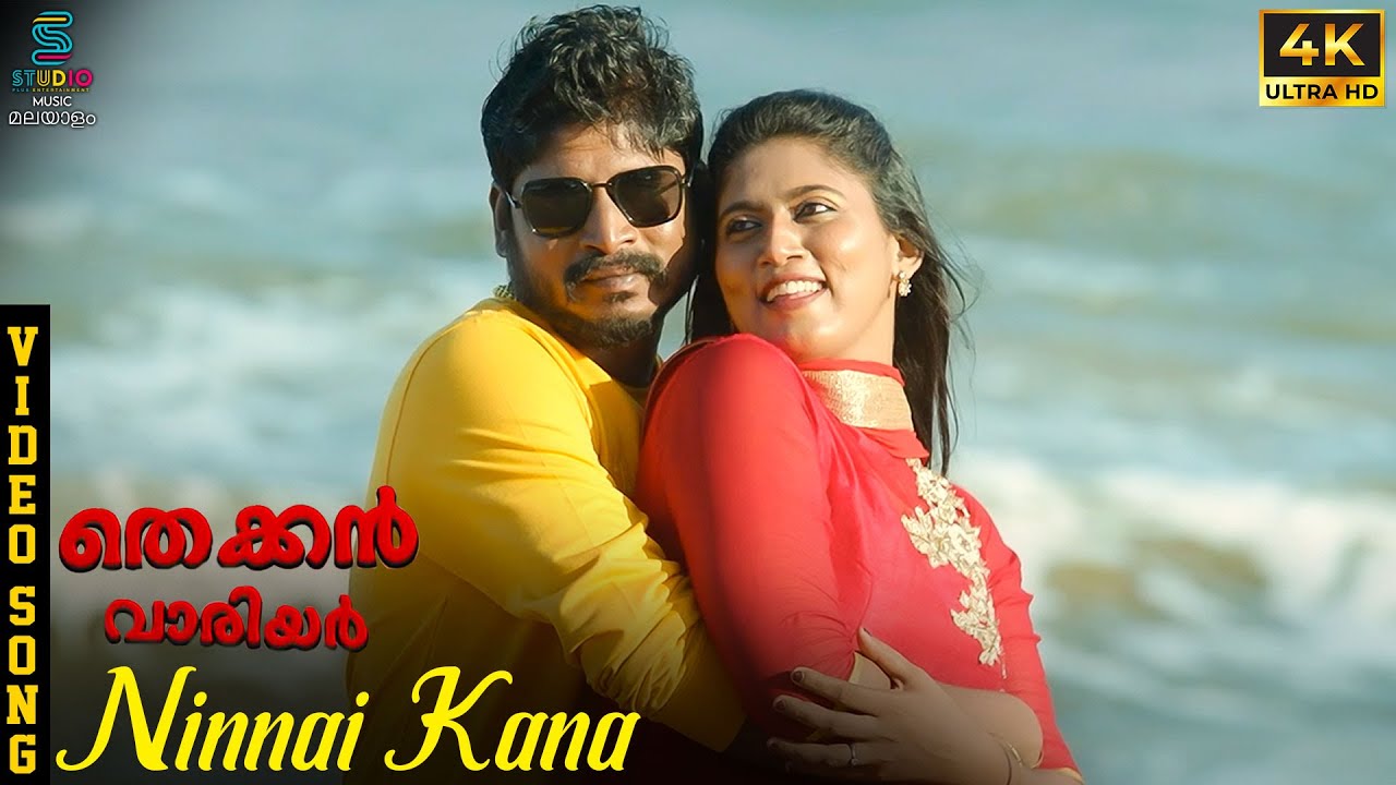 Ninnai Kana Video Song 4K - Thekkan Warrior | Saarath | Anagha ...