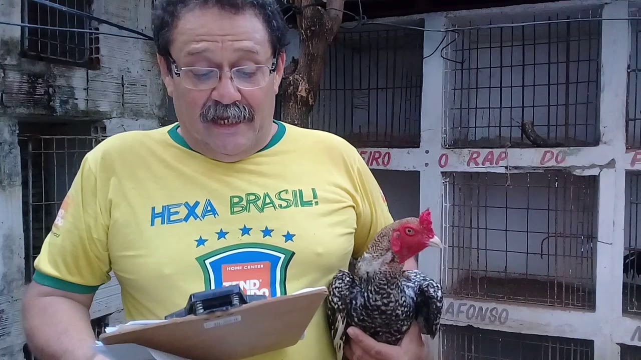 Um sonho de um preá chamado Afonso Machado - YouTube