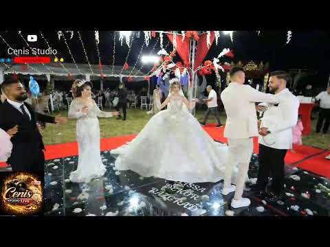 GÜRAY VE SEVİLAY DÜGÜN TÖRENİ CANLİ YAYİN PROHLADA-ORK.MAHMUT KİRPİ