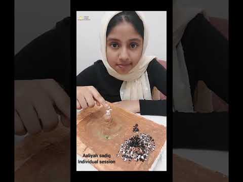 prophet preaching tawheed publicly       chapter presentation by Aaliyah sadiq