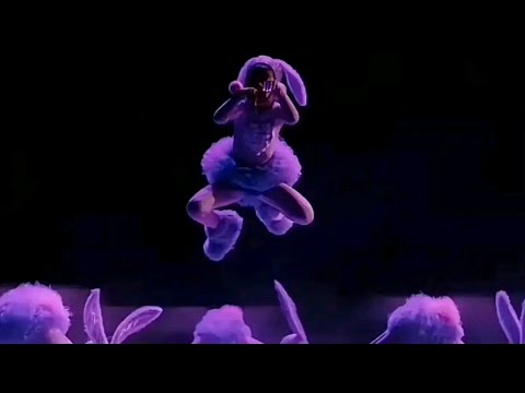 LA LIEBRE Y LA TORTUGA VUELVE A CORRER ( Obra Completa ) 