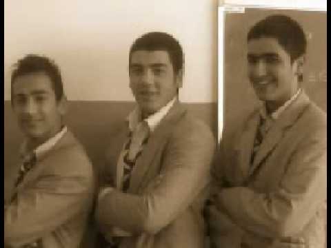 Ali Kul Çok Programlı Lisesi 11TM-A