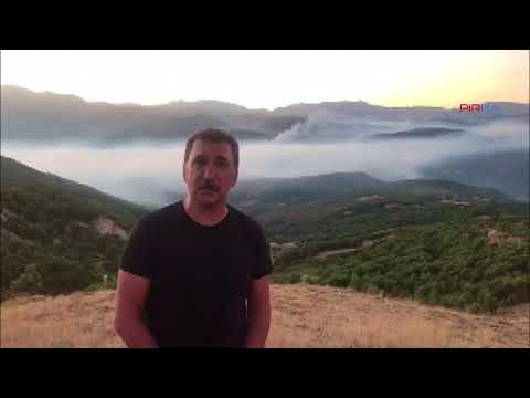 Tunç: Dersim'de hayat yok ediliyor, yangına seyirci kalınıyor