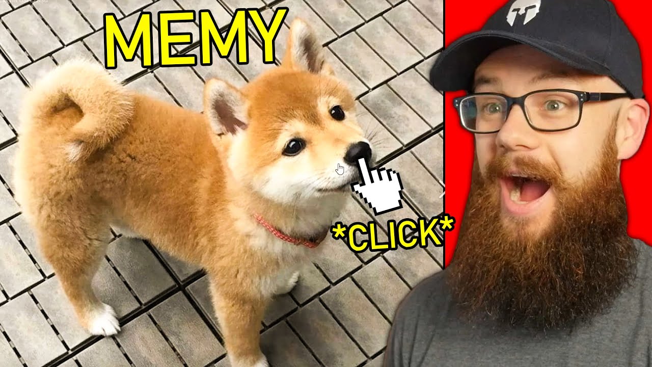 🔥 NAJLEPSZE MEMY Z PJESKU HEHESZKU - YouTube