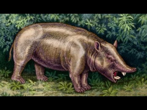 Pyrotherium Sound Effects - YouTube