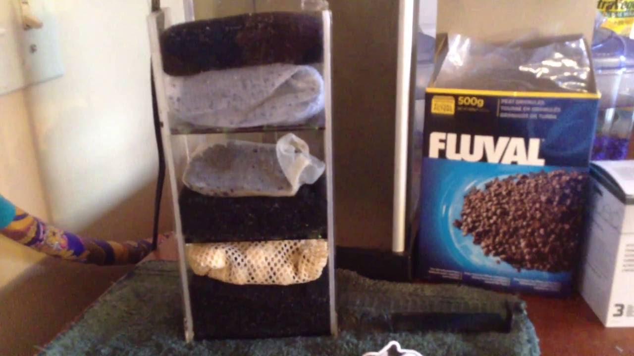 Upgraded Filtration in Fluval Spec V - YouTube