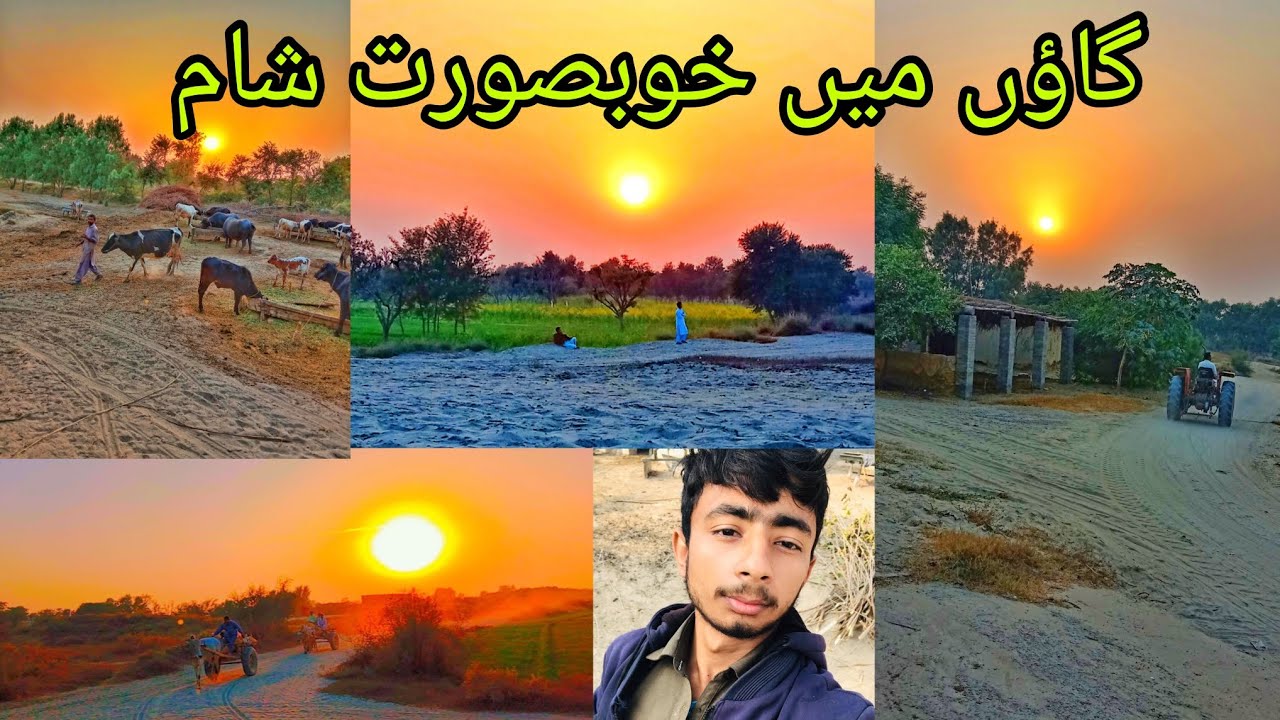 A beautiful evening in village ||village life||village View||Chowk ...
