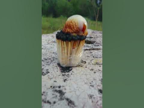 ПОДЖЕГ ГЛАЗ ЗОМБИ🧟 - YouTube