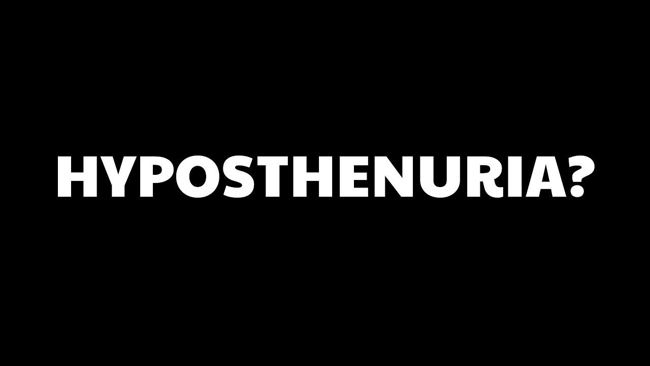 What is hyposthenuria? Signs, Symptoms - YouTube