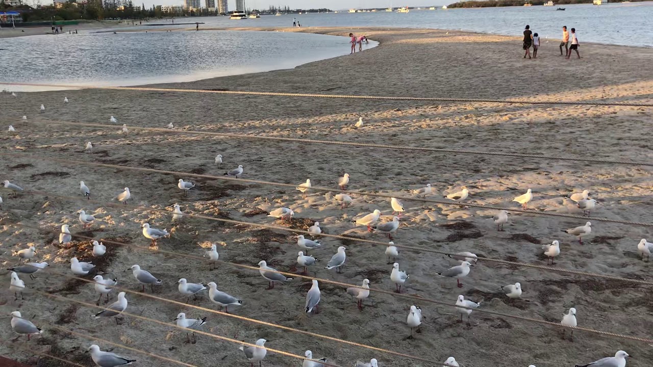 Gold Coast Beach Biggera Waters - YouTube