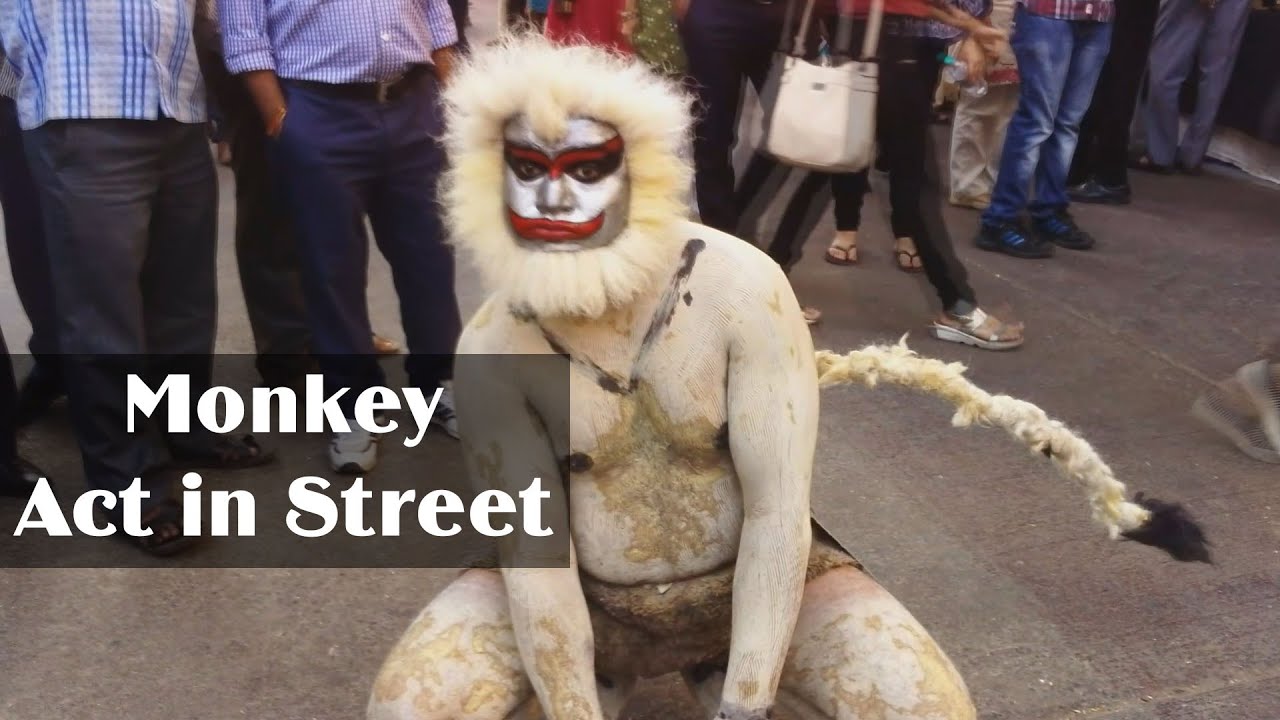 Monkey Act in Street - YouTube