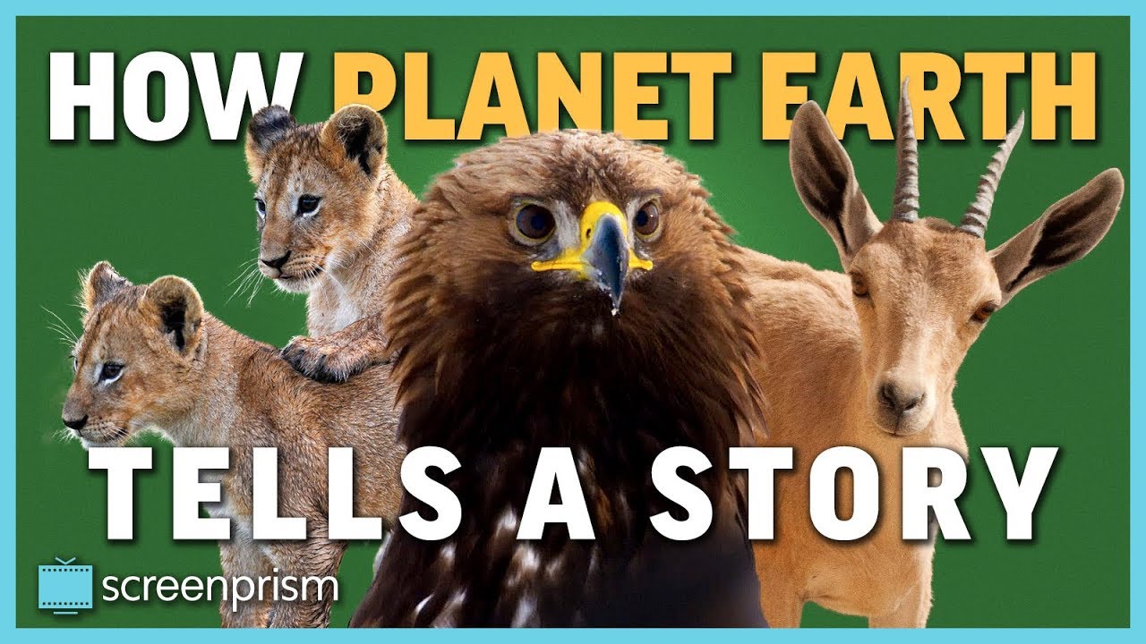 How Planet Earth Tells a Story, Part 2 | Watch | The Take