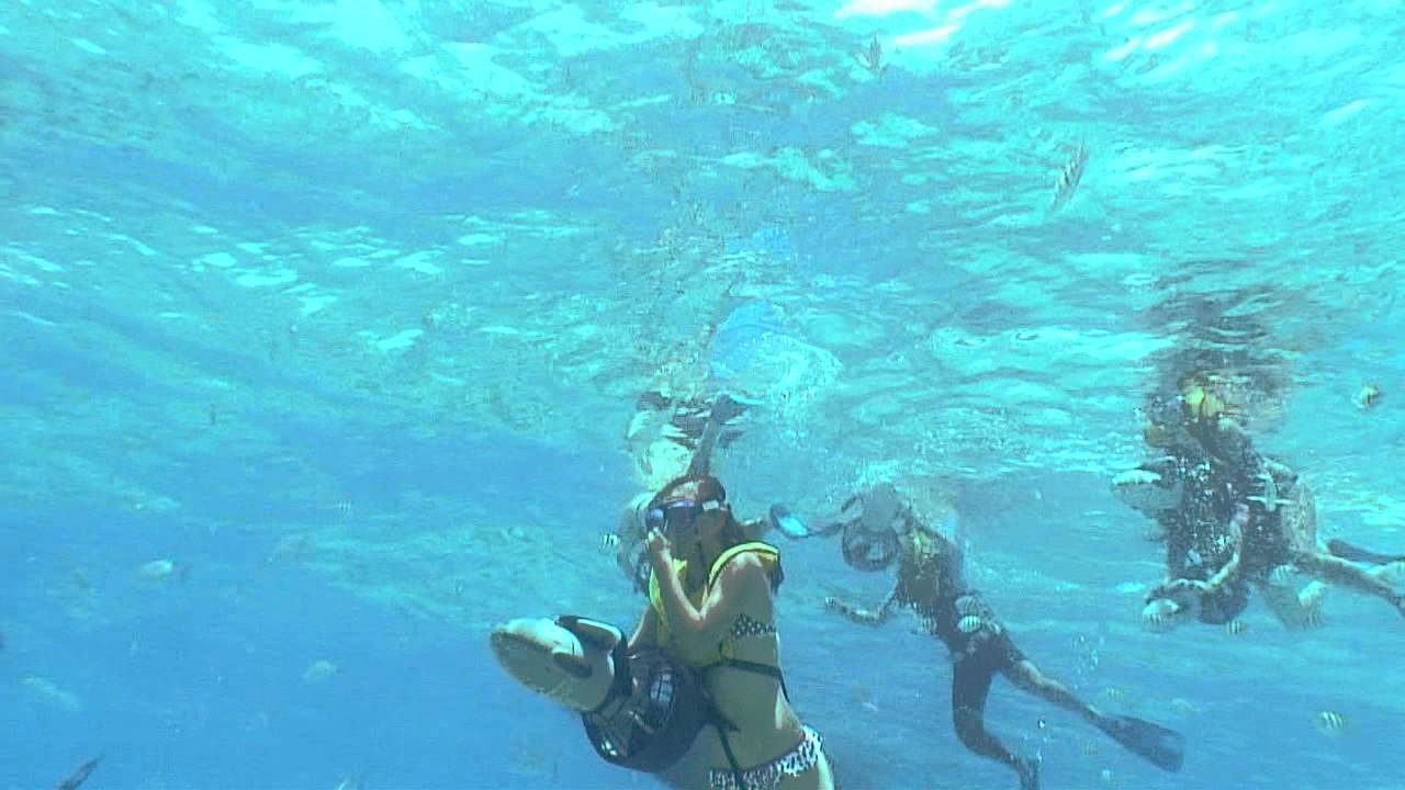 Power Snorkel tour in Cozumel - YouTube