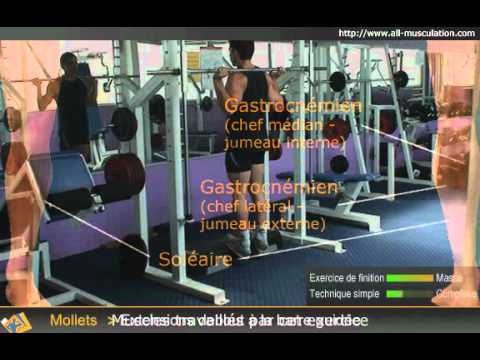 Extensions des mollets à la barre guidée - YouTube