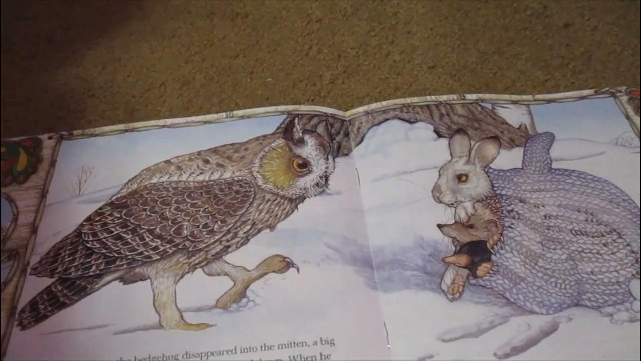 The Mitten Jan Brett Read Aloud - YouTube