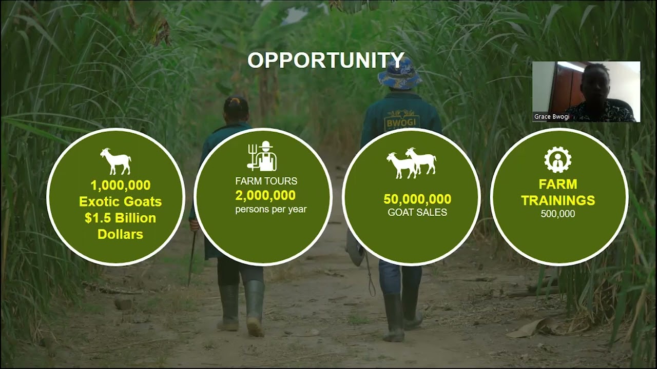 WE4A Pitch | Bwogi Farms - YouTube