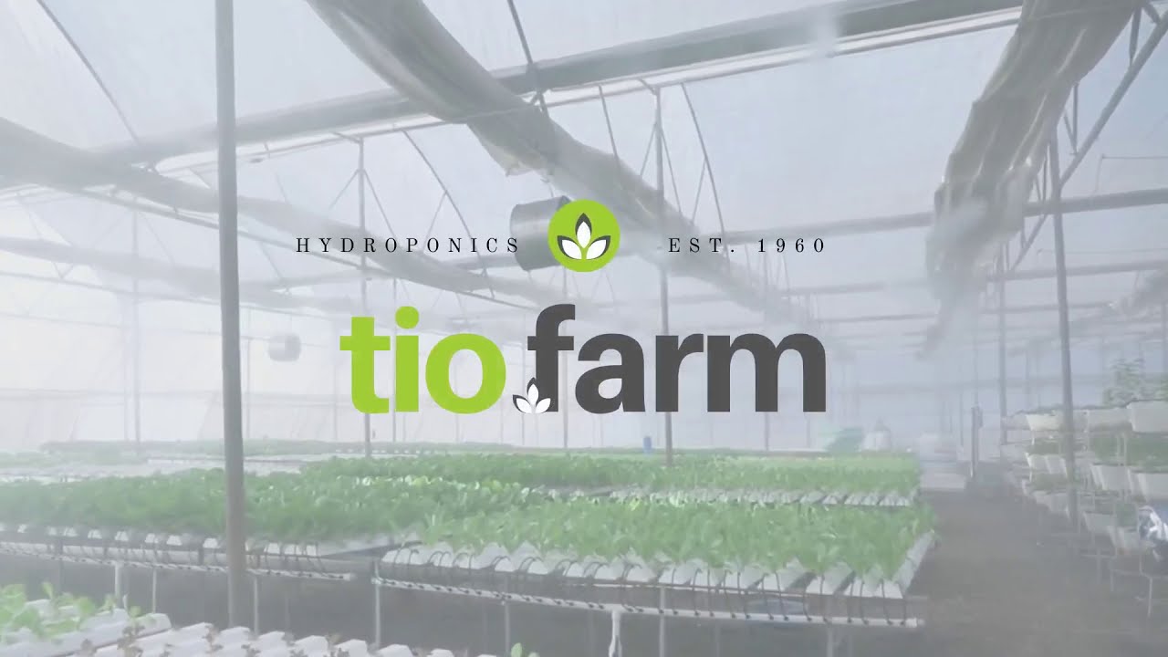 TIO Farms - Word Edits - YouTube