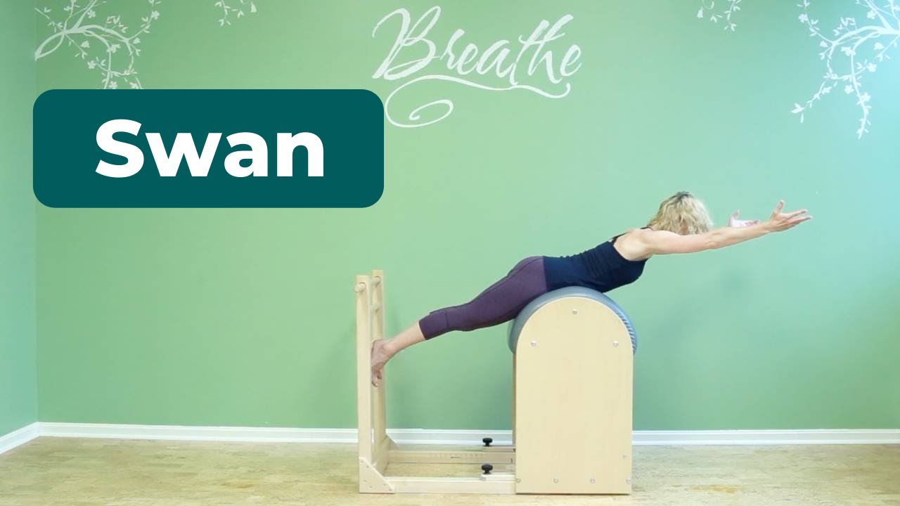 Swan on the Ladder Barrel ⎮Pilates Encyclopedia - YouTube