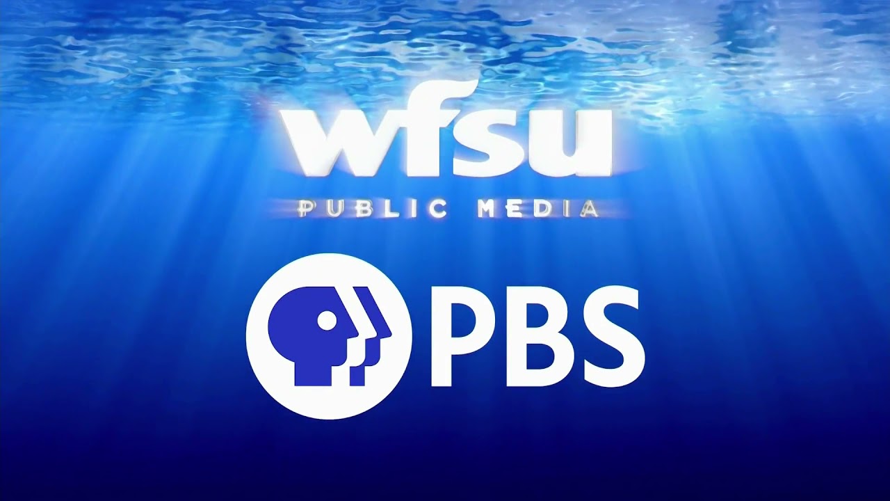 WFSU Public Media/American Public Television (2019) - YouTube