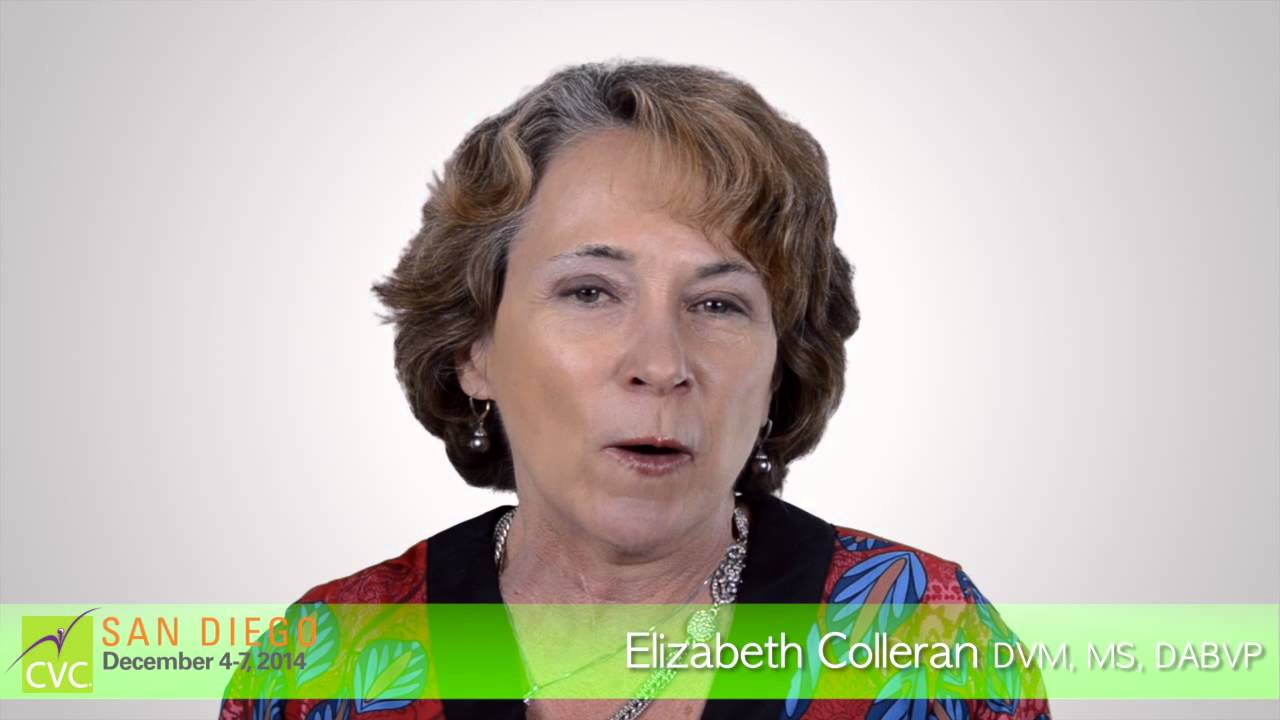 Elizabeth Colleran - YouTube