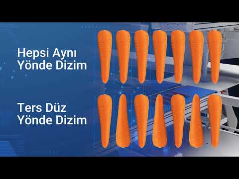 Bessa Makina - Nova-S Otomatik Sınıflandırma ve Paketleme Makinesi