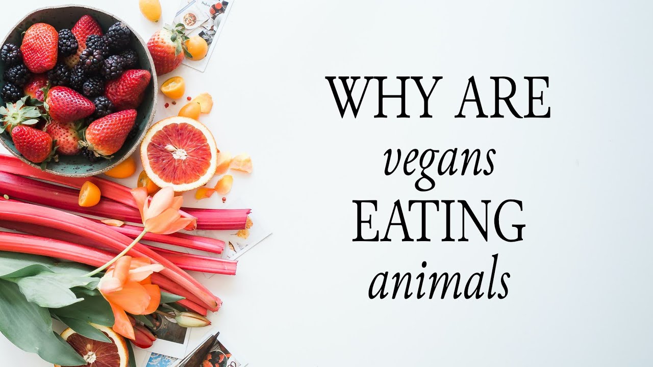 Why vegans stop being vegan | why do most vegans quit - YouTube