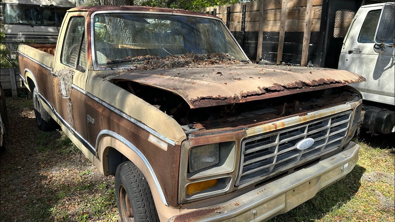 First look at this 1984 Ford F150 left for dead - YouTube