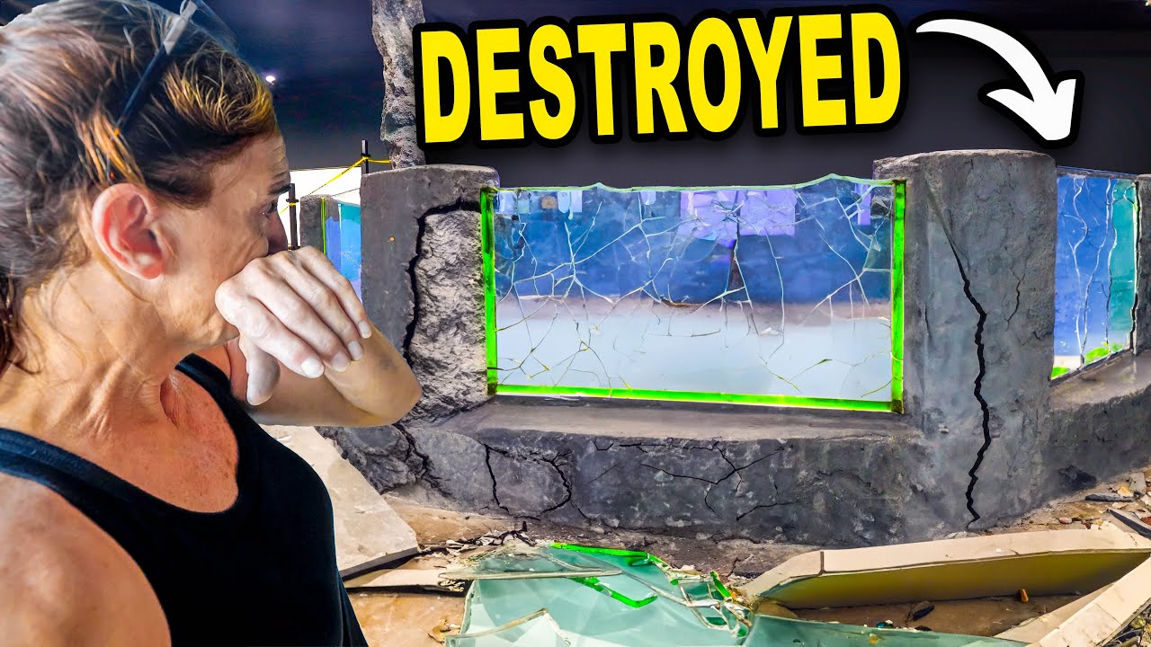 Our Aquariums Got Destroyed! Now What?! - YouTube