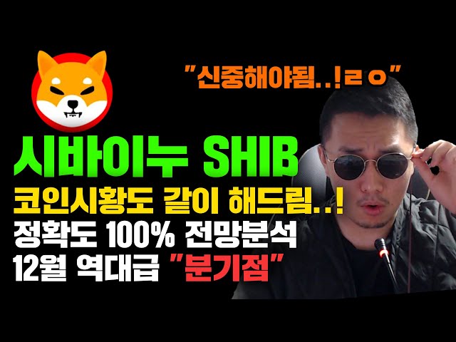 시바이누 SHIB [긴급] 코인시황도 같이 봐드립니다..! 정확도 100% 전망분석, 12월 역대급 "분기점" 임박...! #코인시황