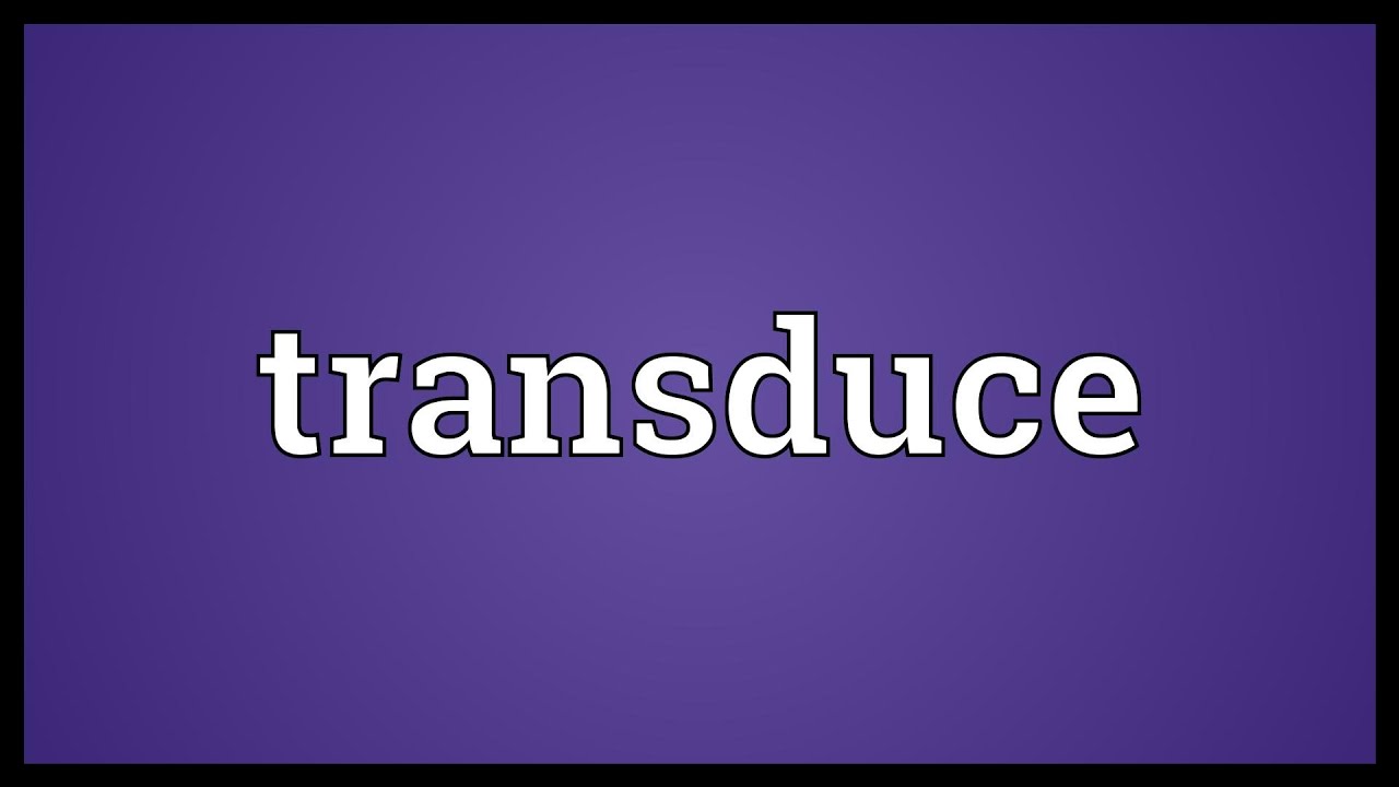 Transduce Meaning - YouTube