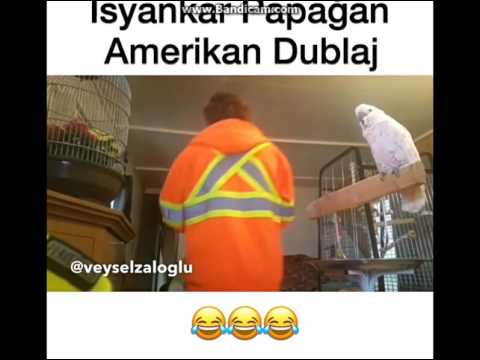 GERÇEKTENMİ ÖLEMİ HADİ CANIM YOK ARTIK