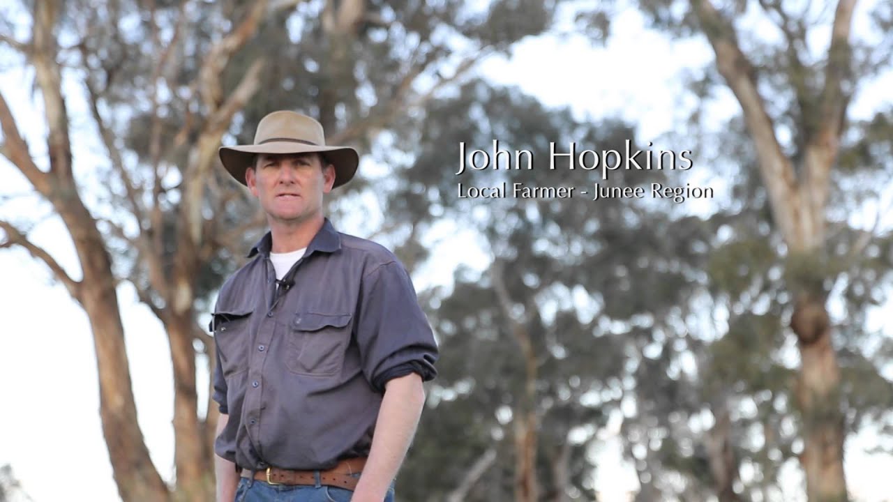 Scattered Paddock Trees - YouTube