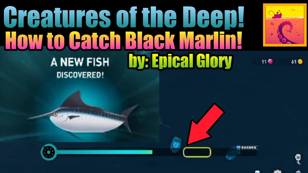 Black Marlin Creatures of the Deep - How to Catch Costa Rica Great ...