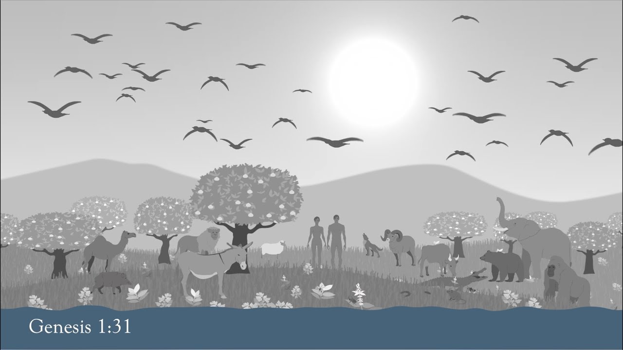 Genesis Visual Aid Chapter 1 - YouTube