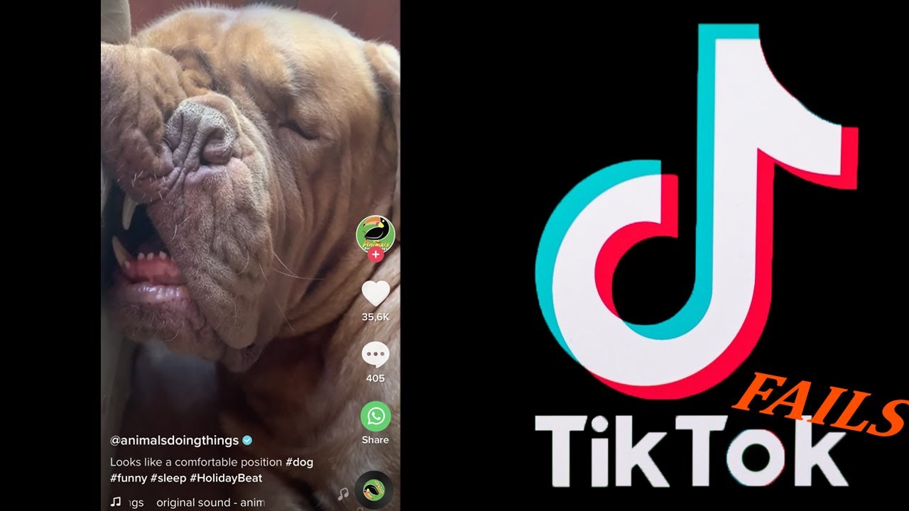 TIK TOK ️Best Fails Compilation 04 | Super Funny 2020 - YouTube