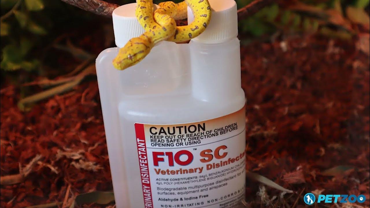 How To Use Veterinary Disinfectant Cleaner | In a Green Tree Python ...