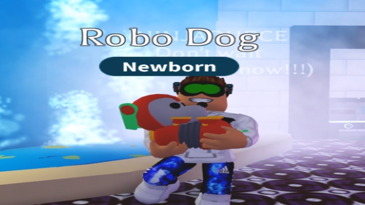 I got Robo Dog and Cyber Sale in Adopt Me NOW - YouTube