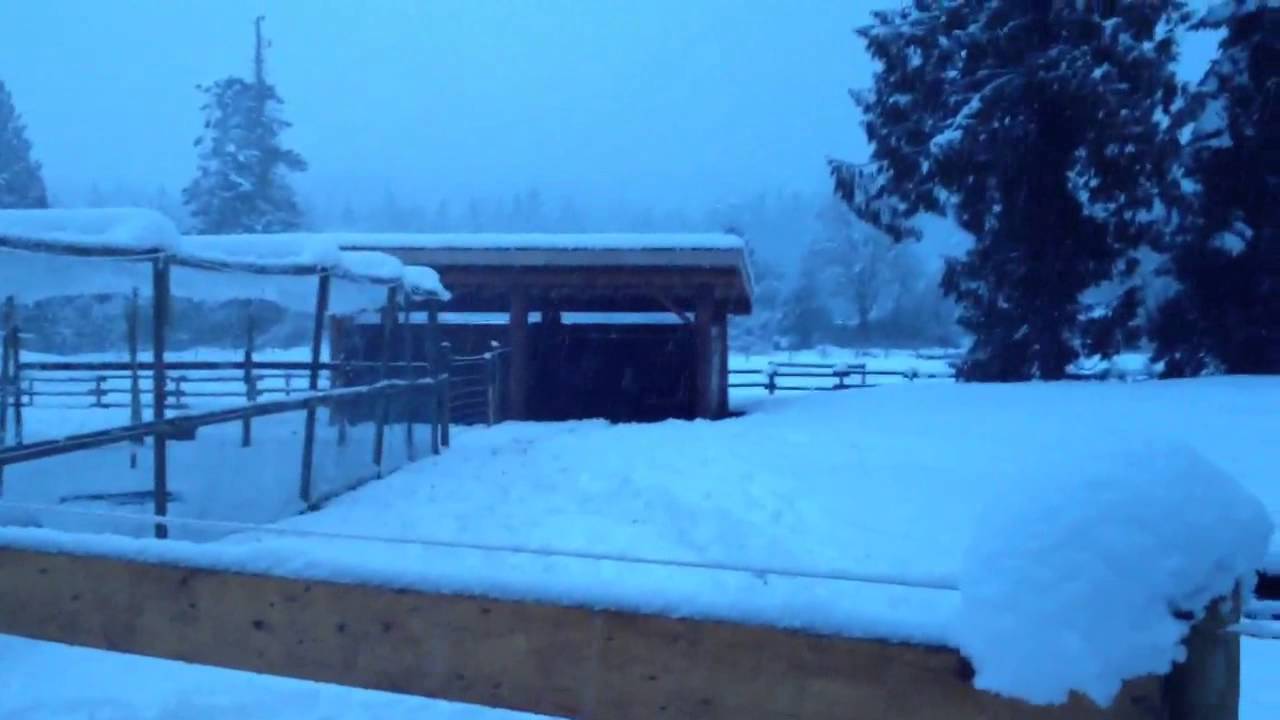 Winter in Nanaimo! - YouTube