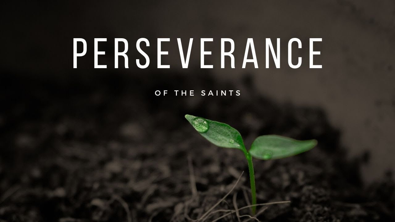 The Theological Elephant in the Room – Perseverance of the Saints - YouTube