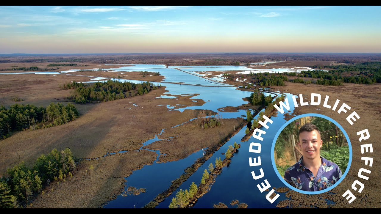 I Never Knew Wisconsin was this BEAUTIFUL!!! - Necedah Wildlife Refuge ...