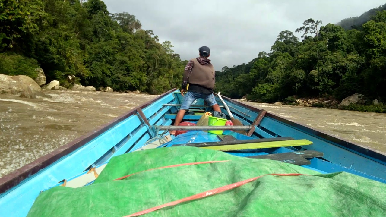 riam udang ganas.Kuq dan kawan" - YouTube