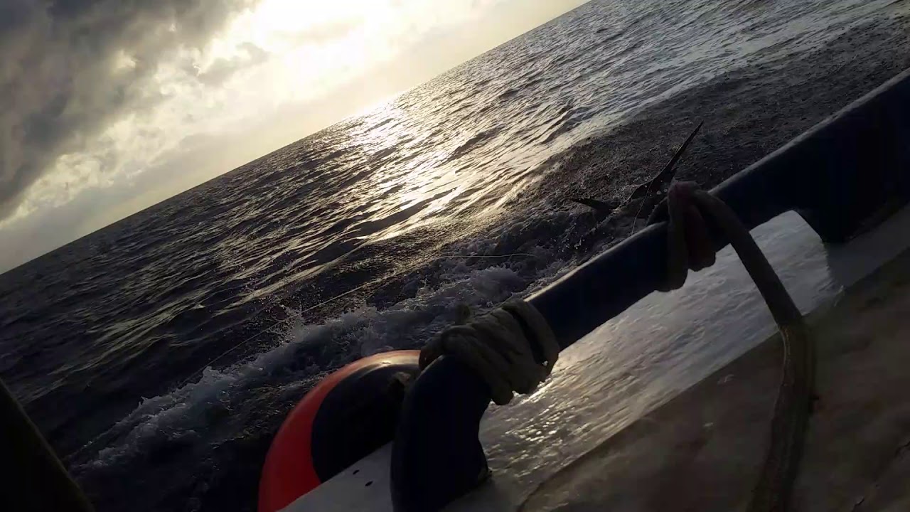 Así se pesca en cuba - YouTube